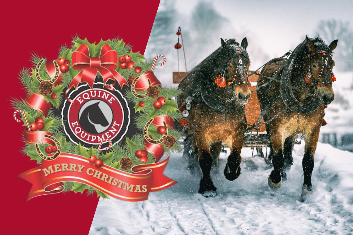 Happiest of Holidays to You and All Your Family, Especially the Hooved ...