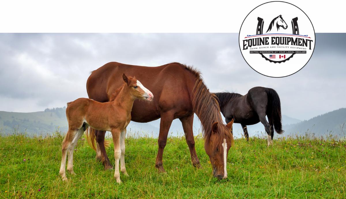 Get Ready For Spring - Equine Equipment Manufacturers Discounts